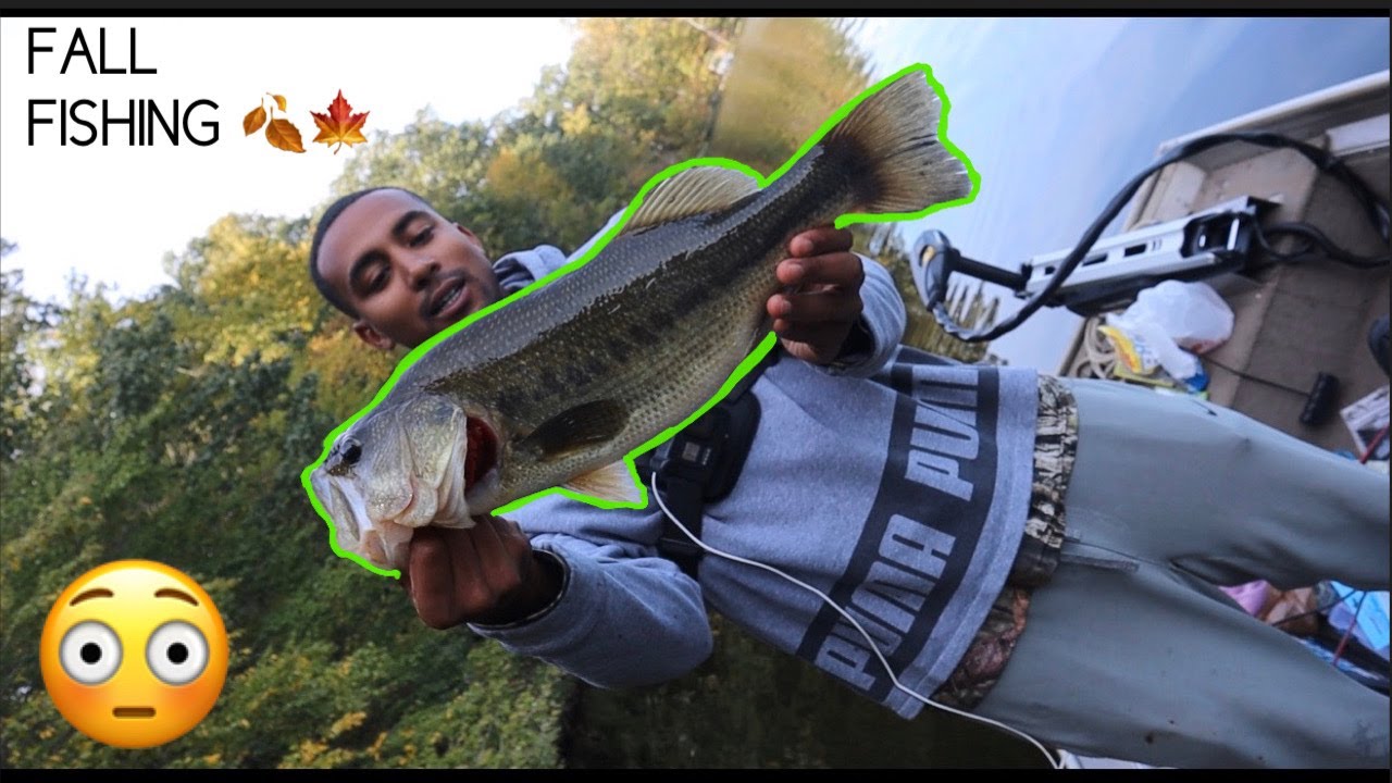 BIG BASS IN THE FALL TIPS (WACKY RIG) - YouTube