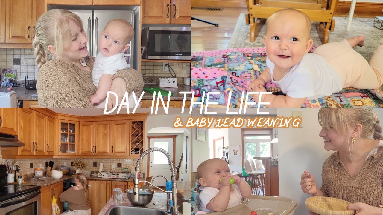 Introducing Solids! 🍎 A Real Day in the Life of a Mom | BLW Journey ...