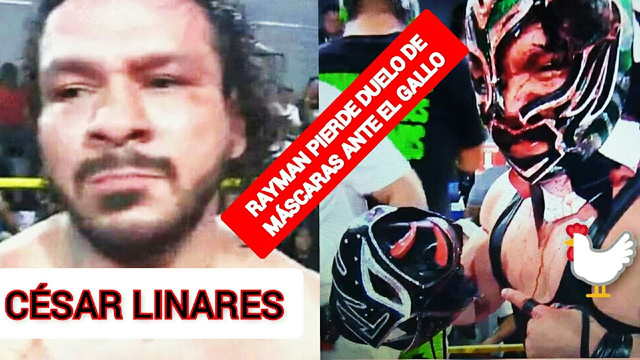 RAYMAN HIJO DEL RAYO DE JALISCO JR PIERDE LA MÁSCARA ANTE EL GALLO ...