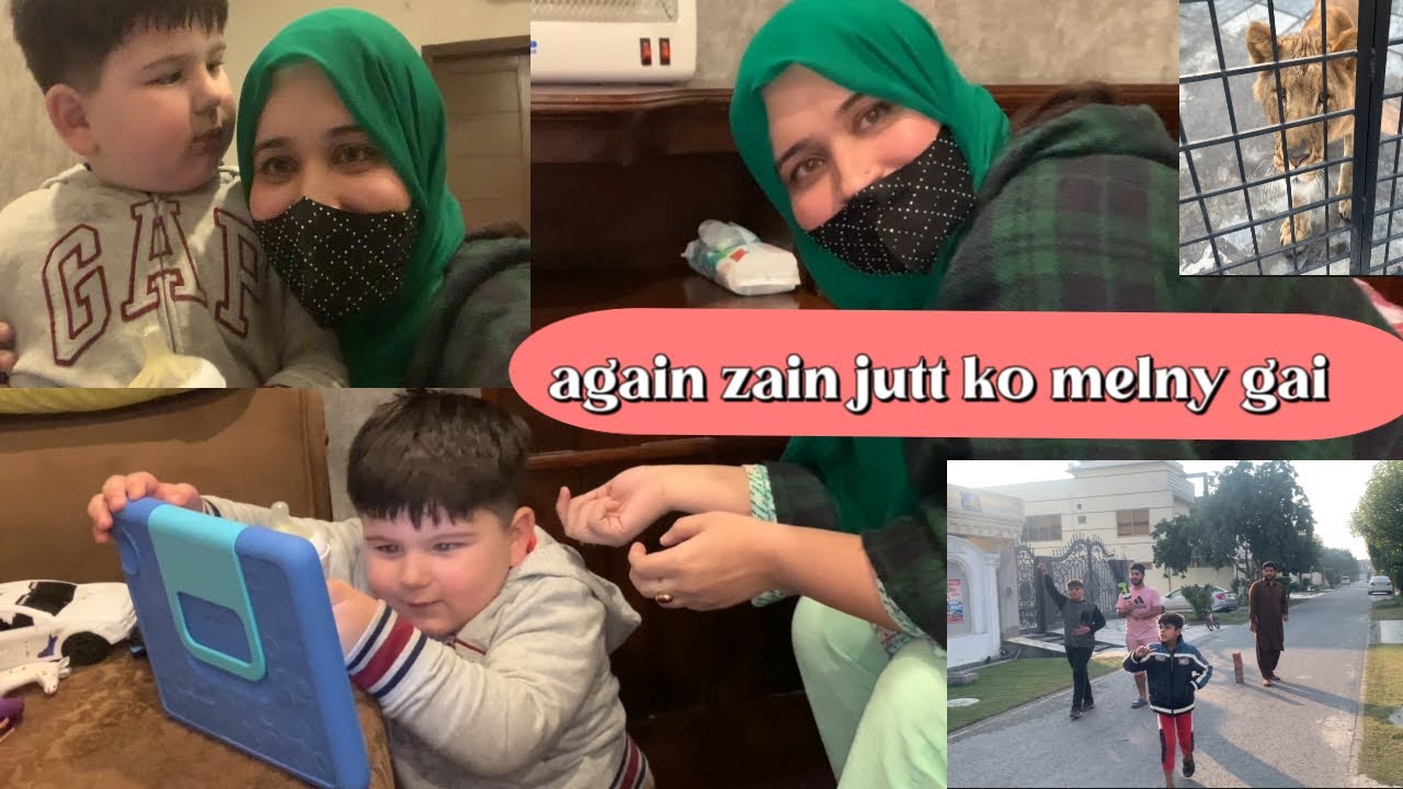 zain jutt ko again milny gy | cricket khyla | simba 🦁 k sath enjoy keya | aroo mansoo vlog - YouTube