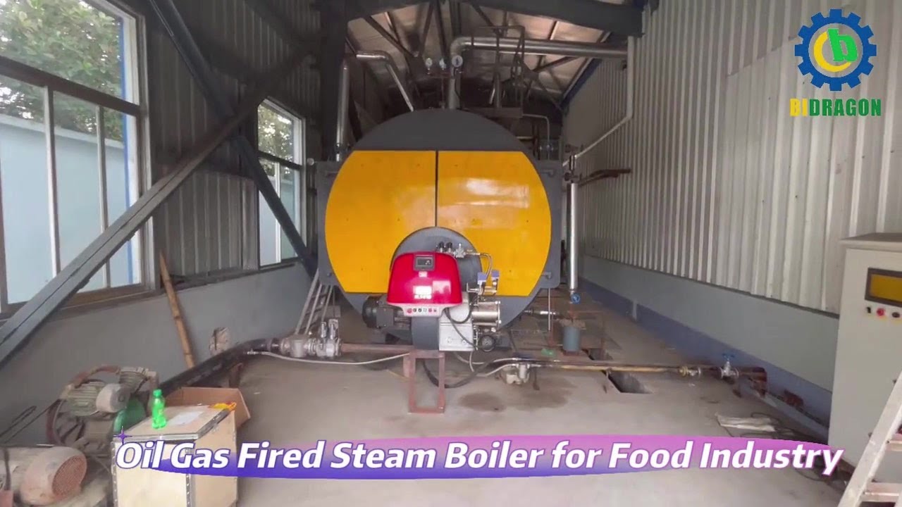 Oil Gas Fired Steam Boiler for Food Industry - YouTube