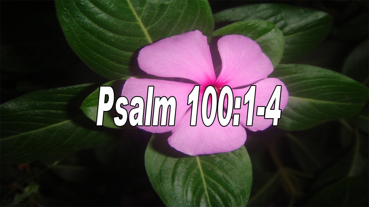 Scripture Song Psalm 100 1 4 Make A Joyful Noise Unto The LORD Chords