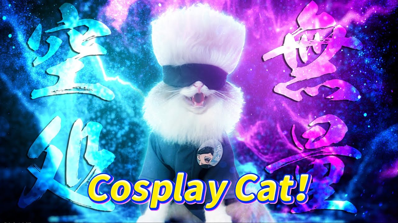 Cosplay貓貓特輯！來看看還有什麼動漫角色出現呢？ - YouTube