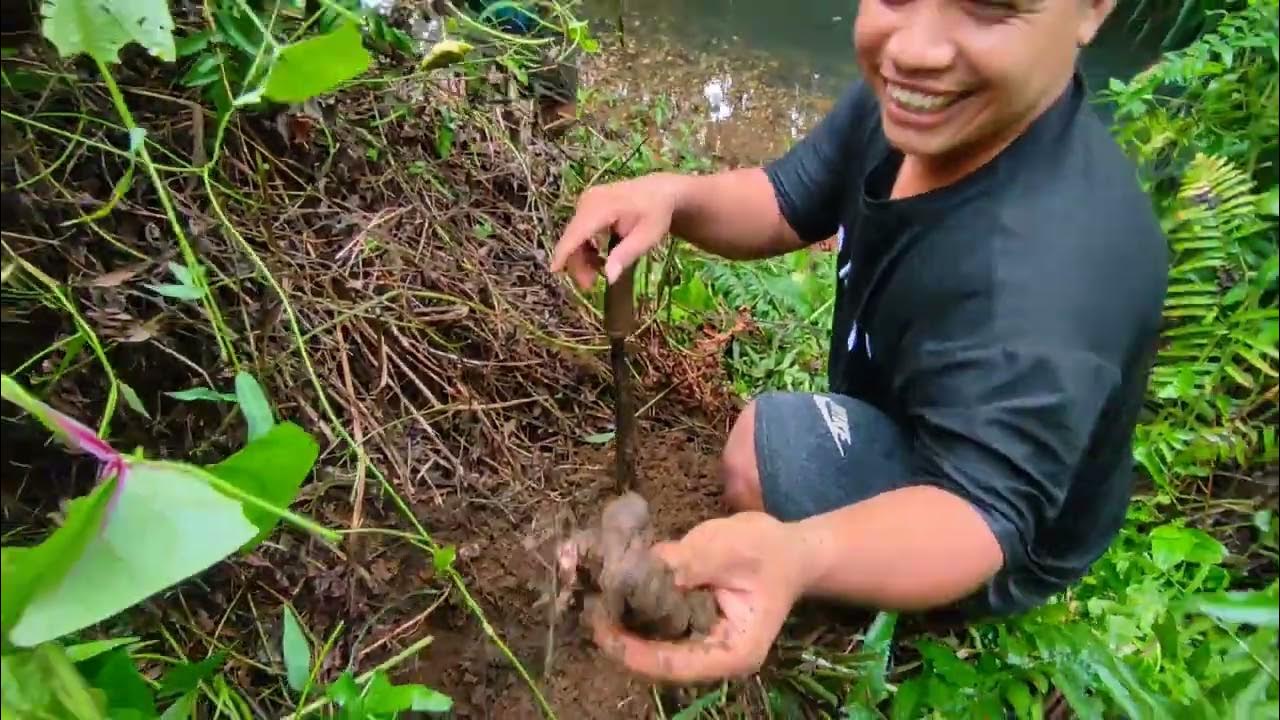 NAG HANAP KAMI NG MAOOLAM SA GITNA NG KAGUBATAN.. - YouTube