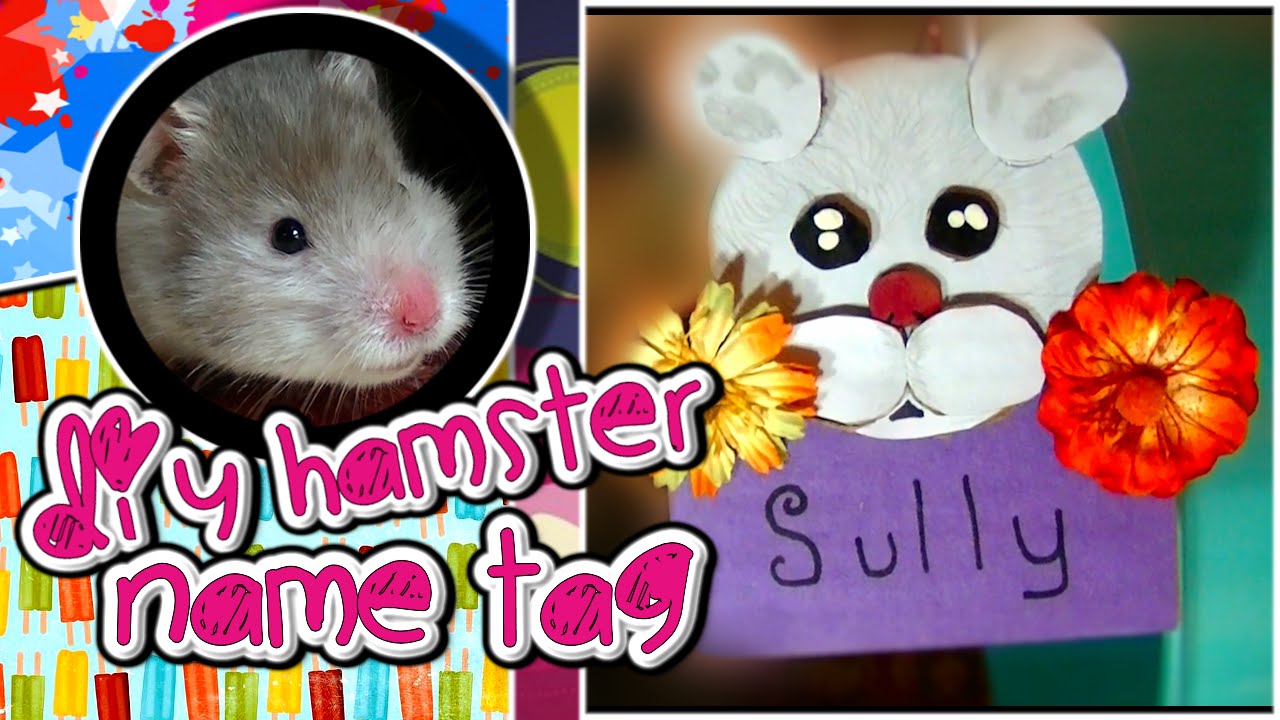 DIY Hamster Cage Name Tag! - YouTube