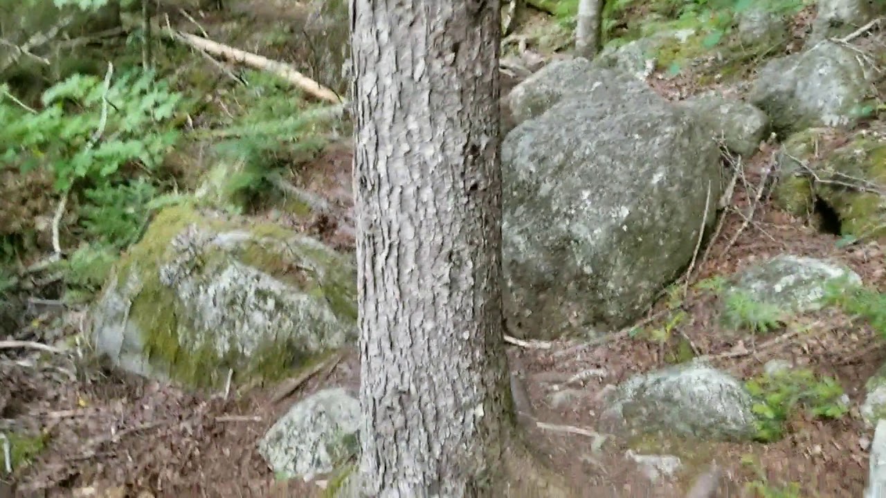 Appalachian Trail 2018: Day 176 Abol Bridge to Katahdin Stream ...