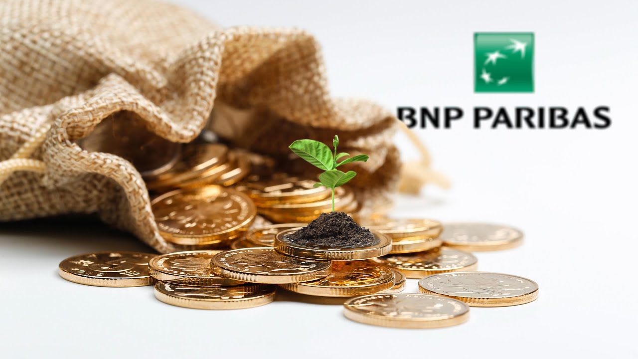 BNP Paribas AM: ESG Equity yang pro sustainable - YouTube