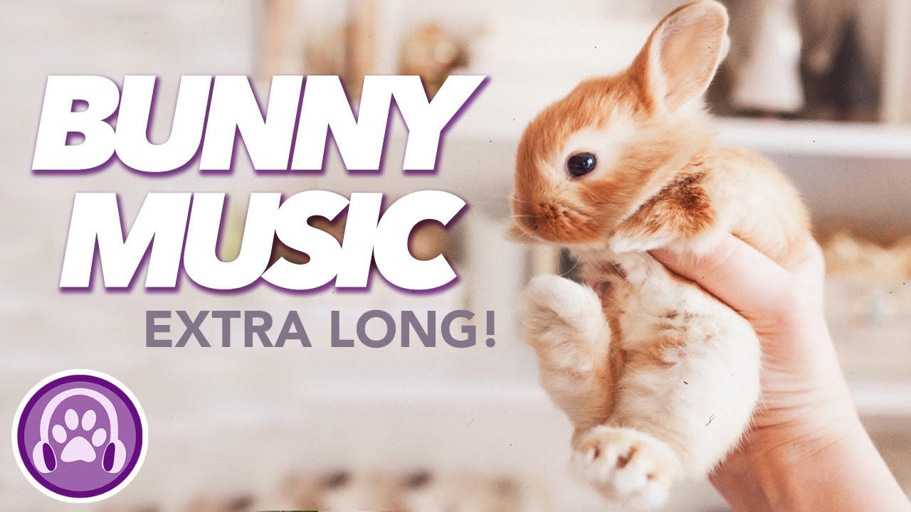 EXTRA LONG Relaxing Music for Rabbits - Tried and Tested by 5 Million ...