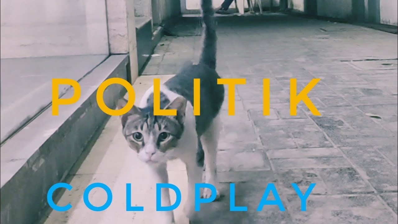 Politik - Coldplay(Indian video cover) - YouTube