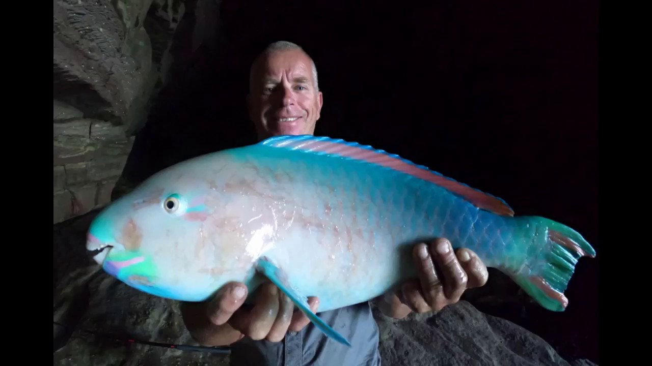 Cave Fishing Kalbarri 2018 - YouTube