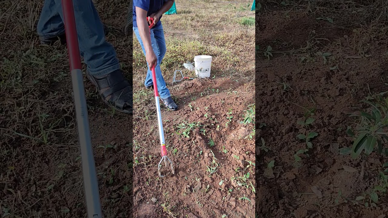 WOLF Garten Tools. WOLF Garten Ridger, Bow Rakes, Tine Cultivators ...