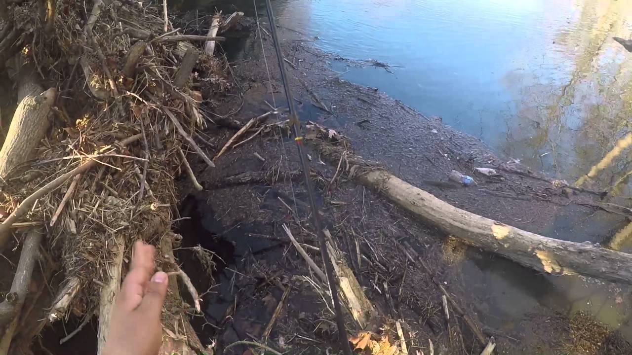 Fishing the bushkill creek Easton,Pa (Short Clip) - YouTube