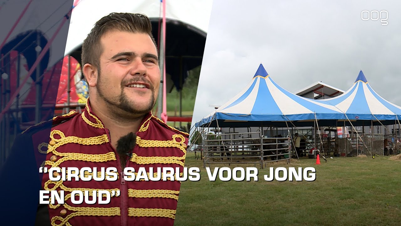 Circus Saurus brengt vanaf vrijdag levensechte dino naar Reitdiephaven ...