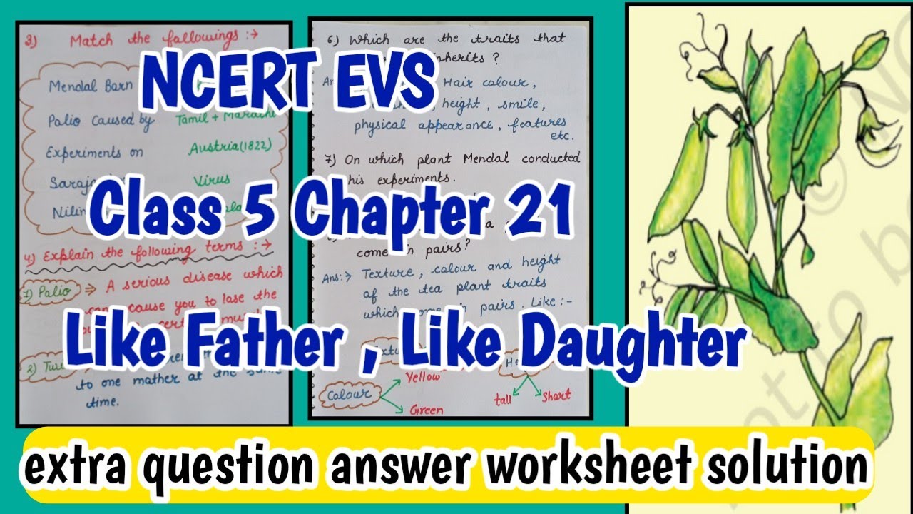 NCERT CBSE EVS/ Class 5/ Chapter 21/ Like Father, Like Daughter/ extra ...