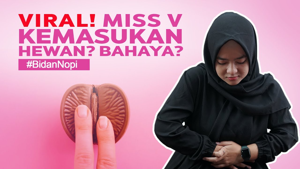 Viral!!! Ada Hewan Di Miss V | Dampak Negatif Miss V Kemasukan Hewan ...