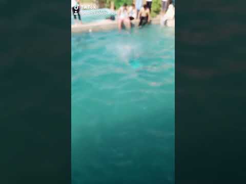 Best swimming tik tok video defaulter - YouTube