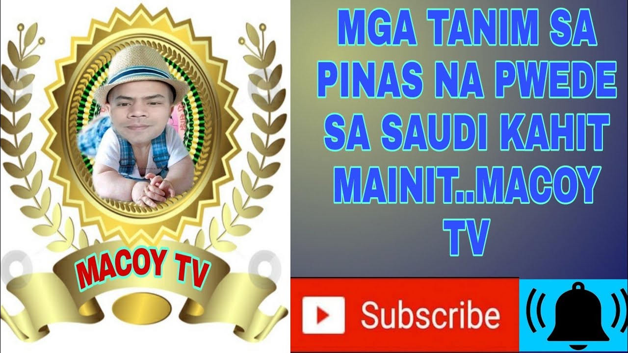 MGA TANIM SA PINAS NA PWEDE SA SAUDI.MACOY TV - YouTube
