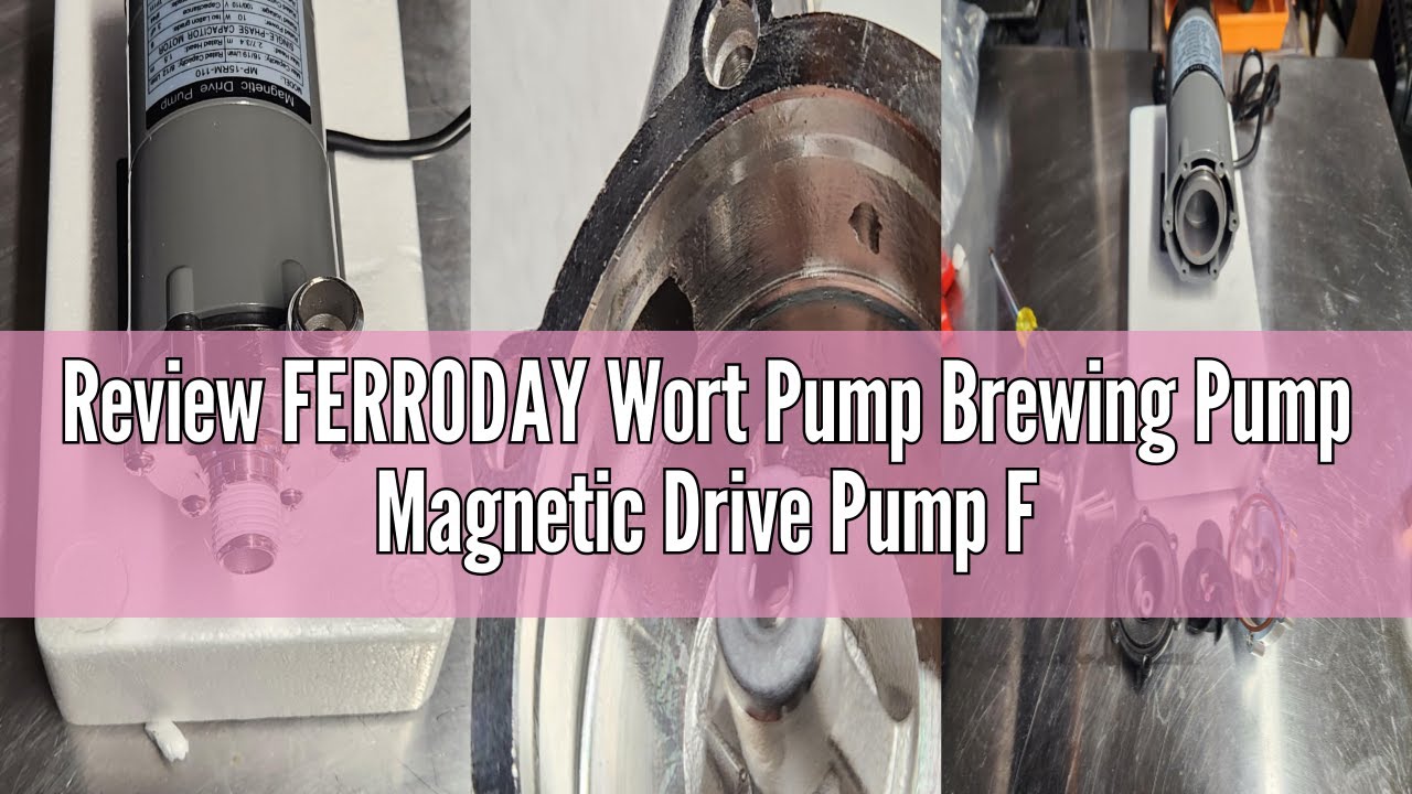 Review FERRODAY Wort Pump Brewing Pump Magnetic Drive Pump Food Safe ...
