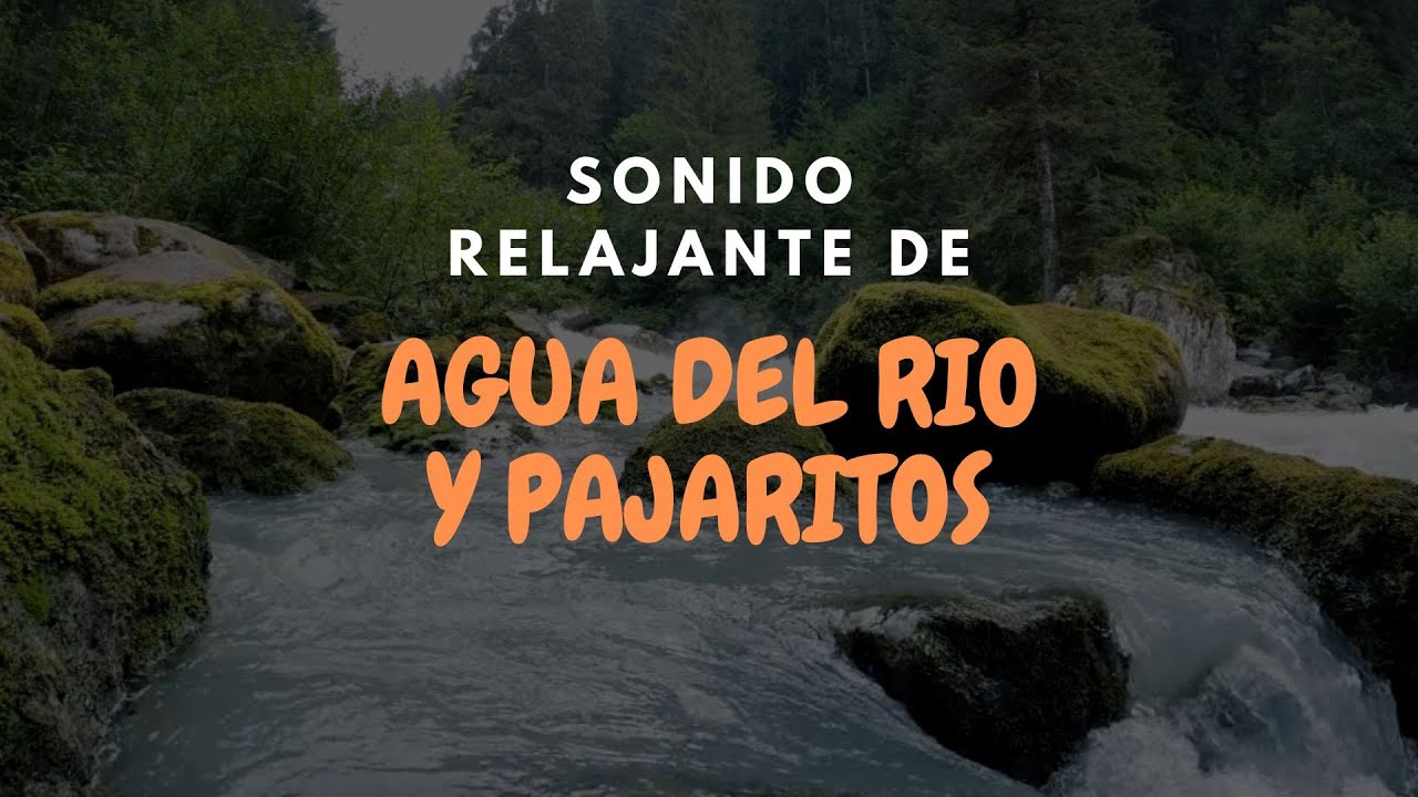 Sonido de Agua Del Rio y Pajaritos Cantando - Relajante Sonido de Agua ...