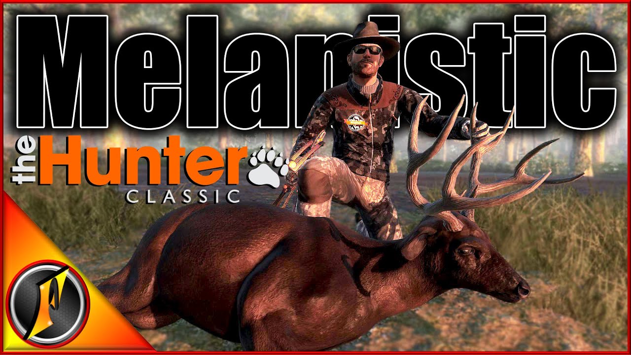 Our Biggest RARE Blacktail Ever! | MELANISTIC Buck in theHunter Classic ...
