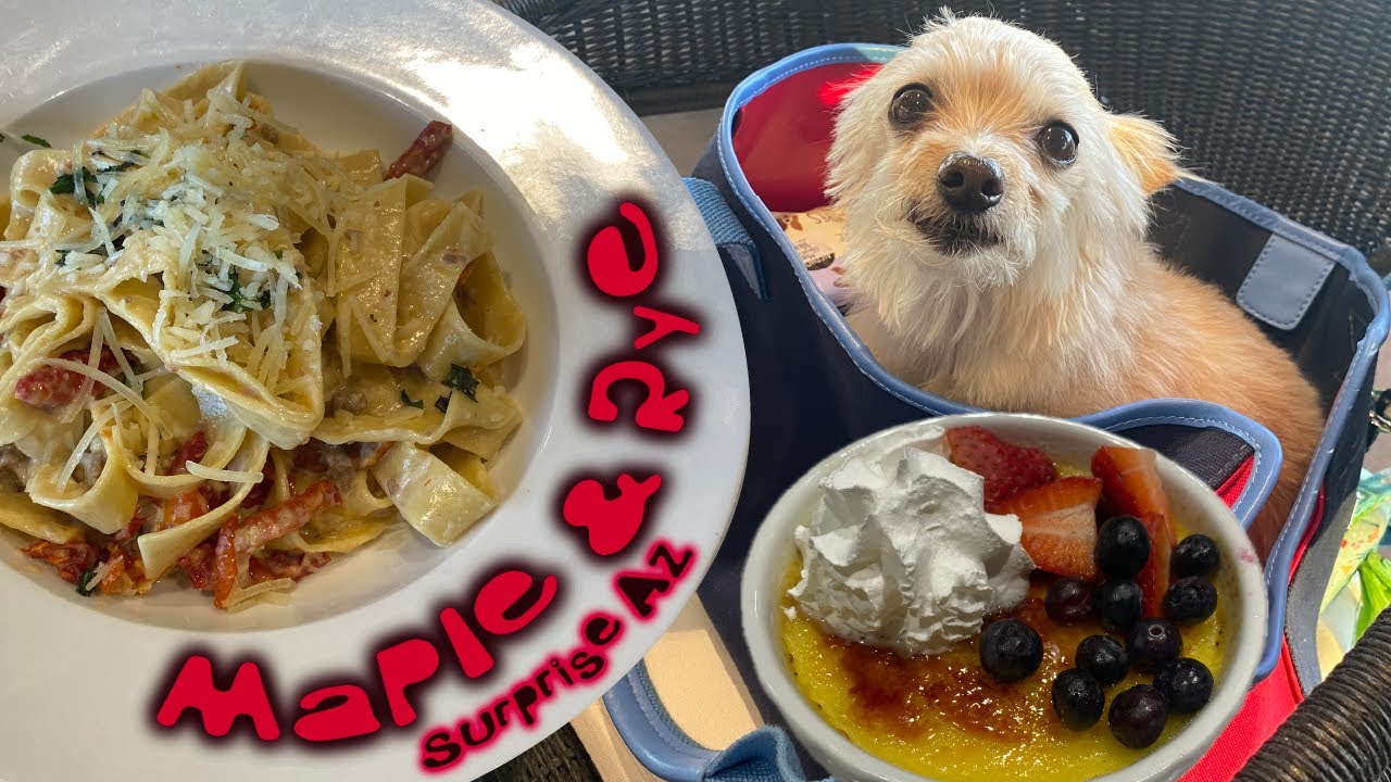 Maple & Rye / The Grand Dog Friendly Restaurant Review - YouTube