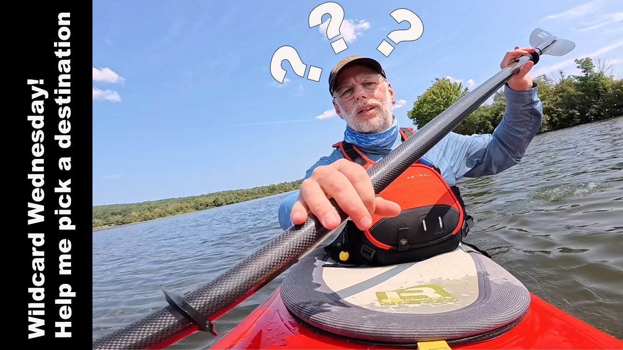 Wild Card Wednesday - I need your help! - YouTube