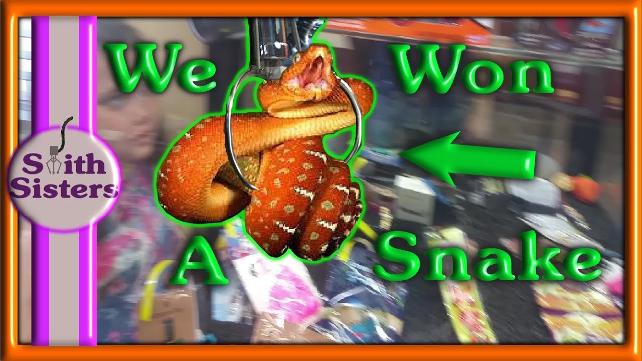 Claw Machine Wins (Won A Snake) Awesome Win From Arcade Prize Crane ...