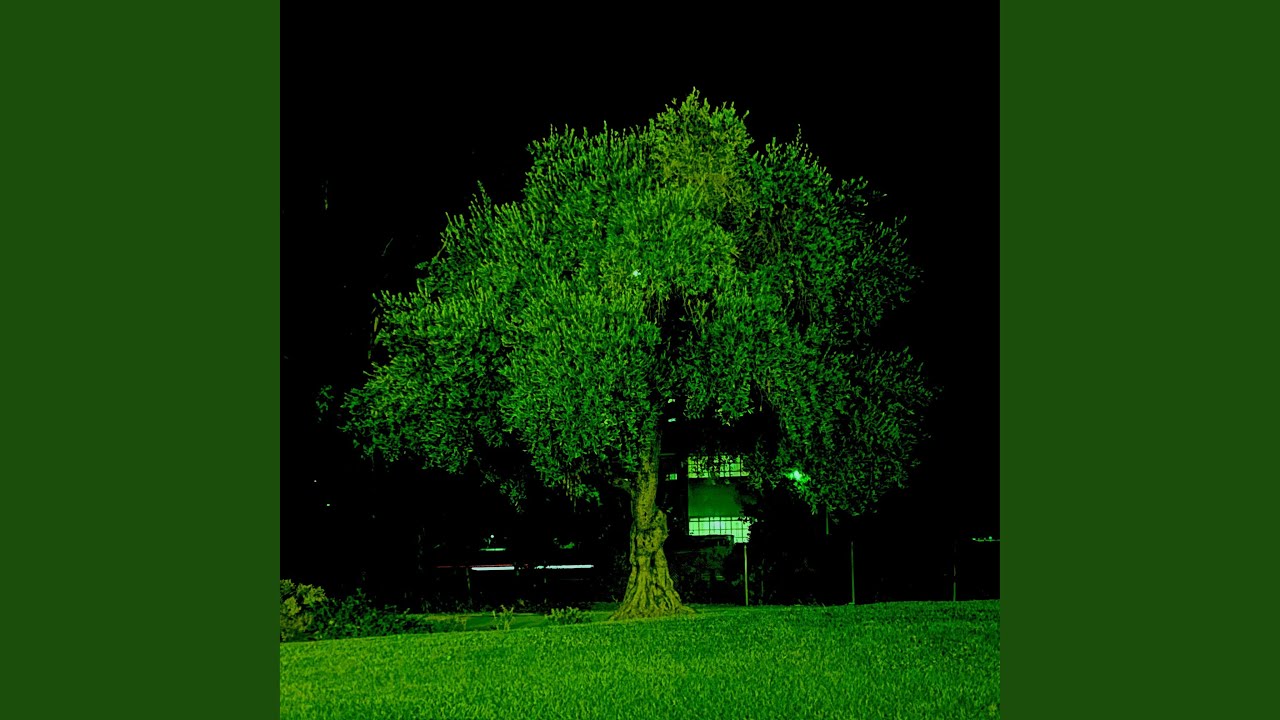 Pretty Druggie - YouTube