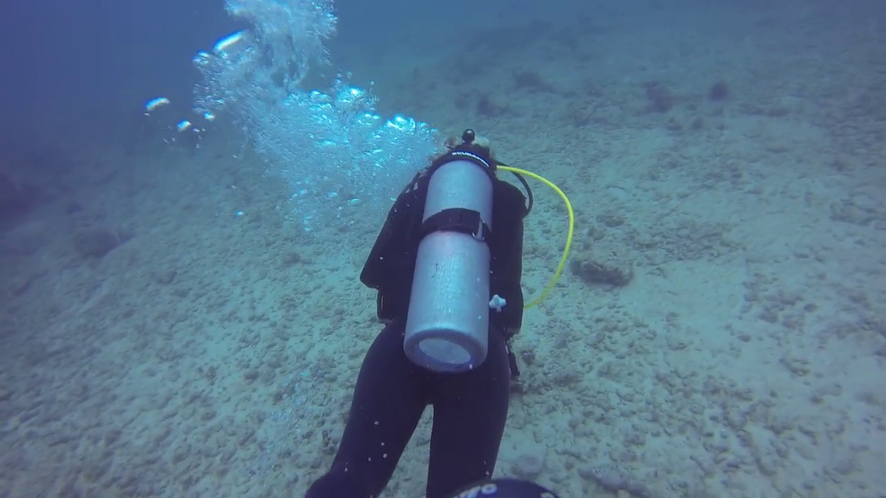 dive 4 shallow p2 - YouTube