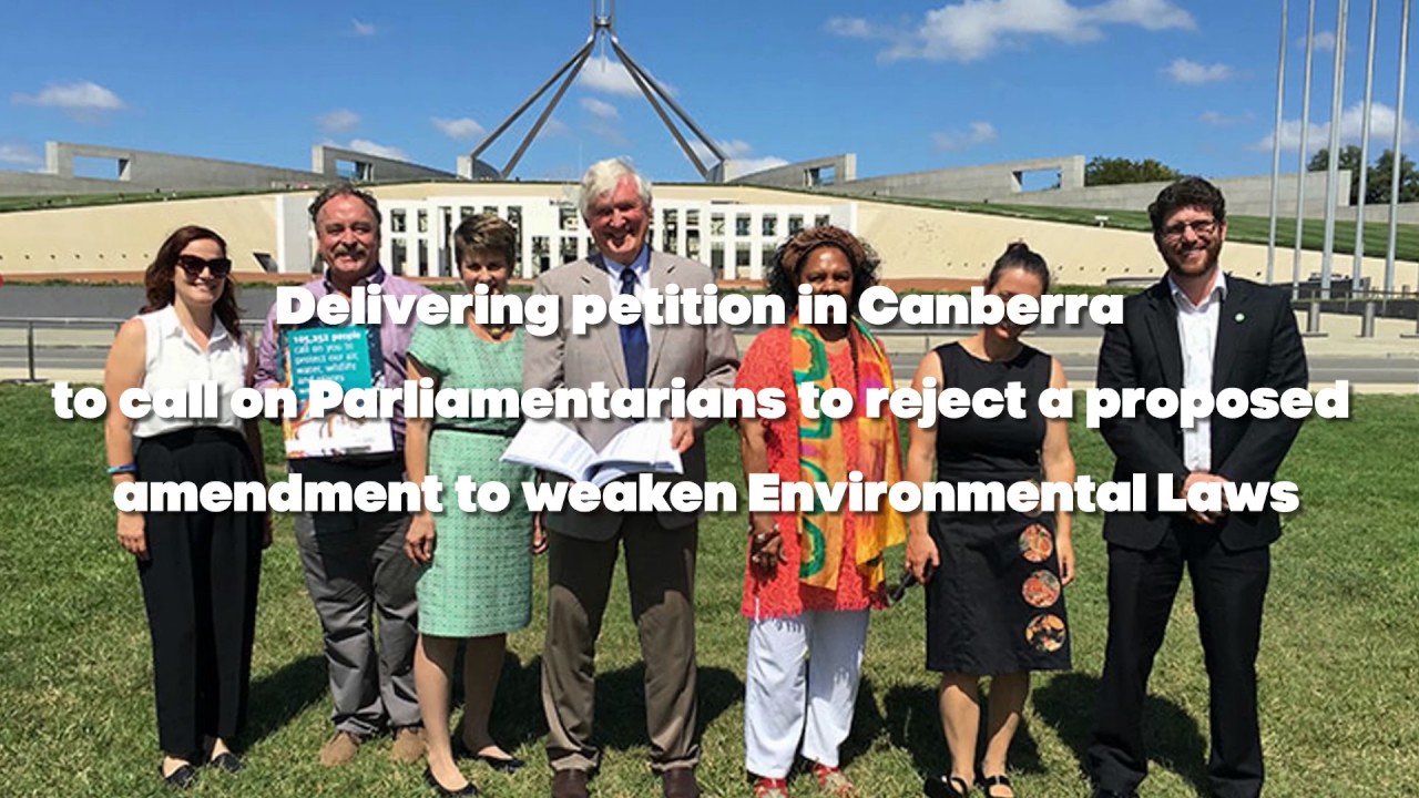 LCPA Our Story - YouTube