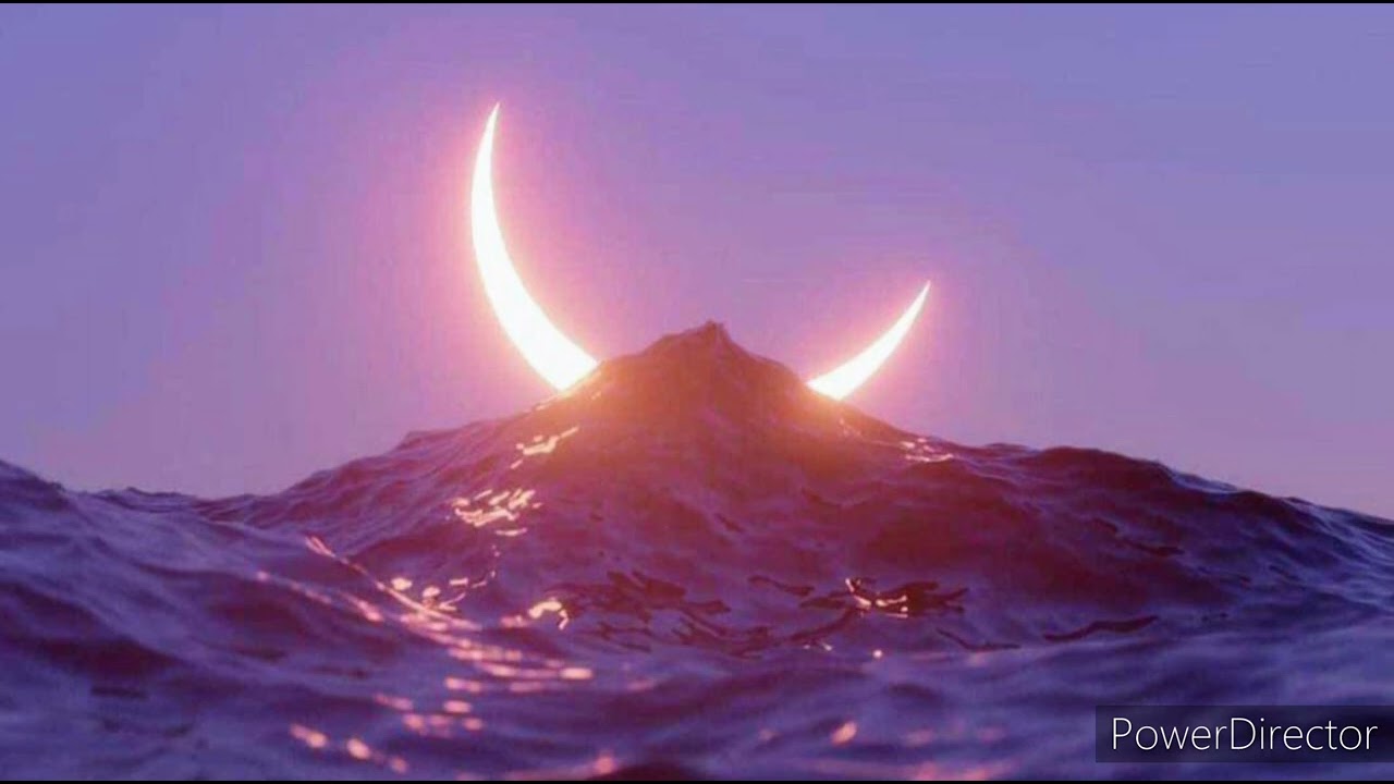 Stoll Stéphane It Say In The Book - YouTube