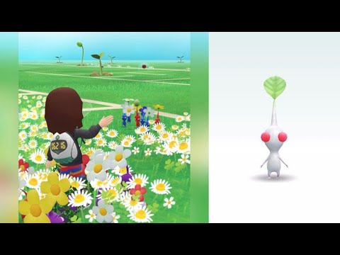 Pikmin Bloom - Los Pikmin Blancos y Cómo Funciona La Velocidad en Las ...