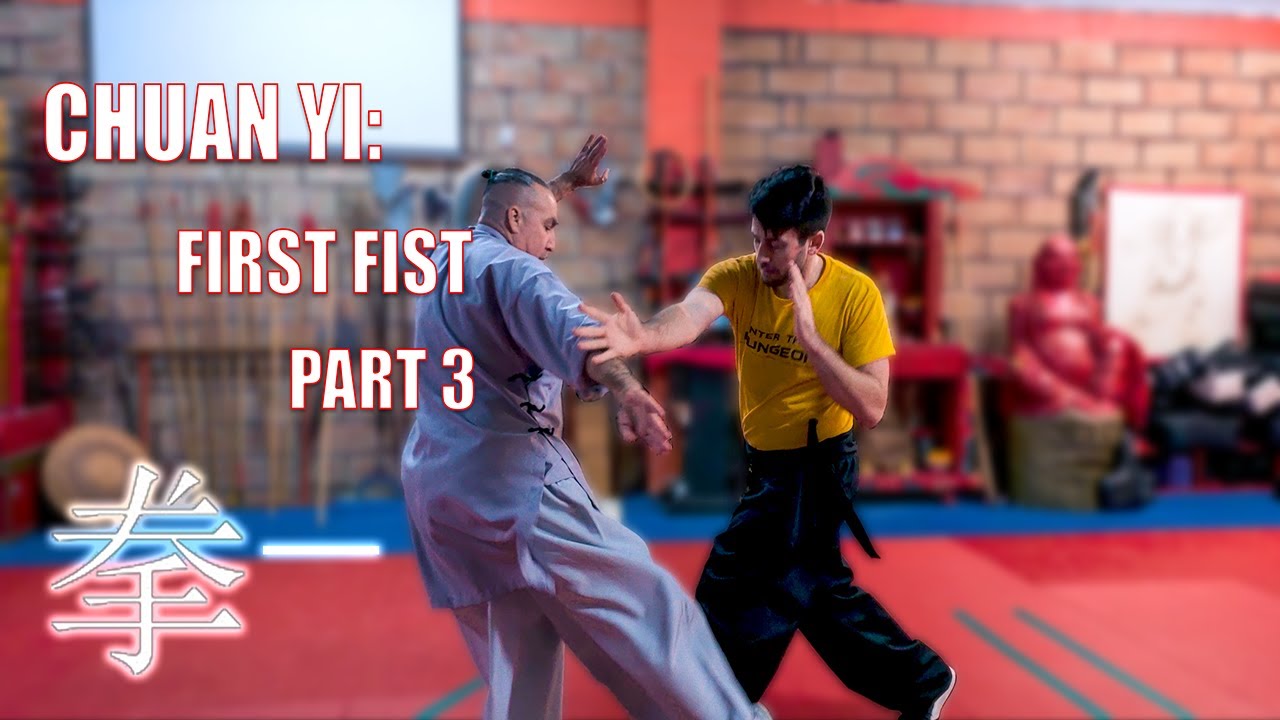 Form and Function: Chuan Yi- First Fist Part 3 - YouTube