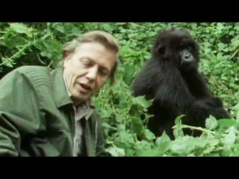 Sir David Attenborough - The story behind Life on Earth - BBC - YouTube