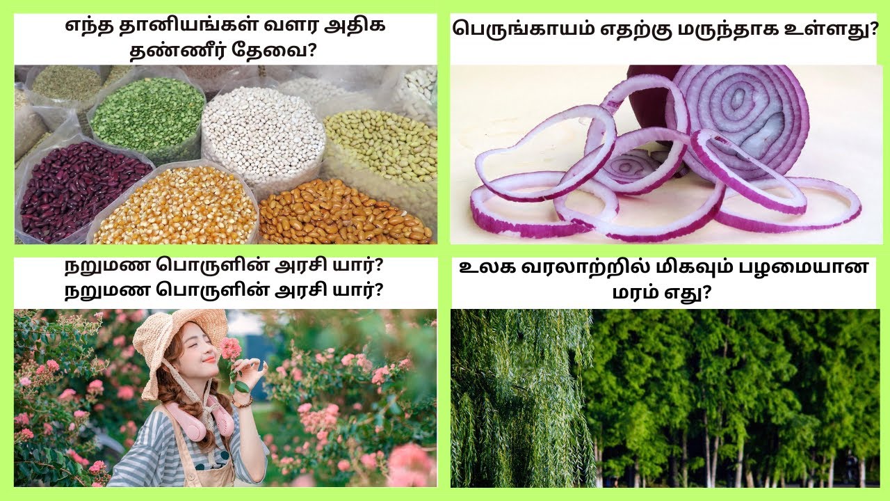 general knowledge question and answer tamil/gk questions EP 34 - YouTube