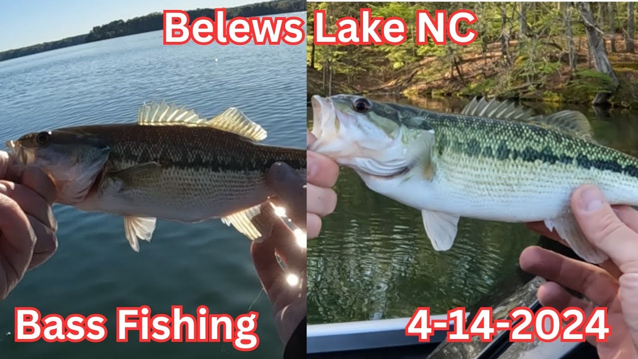 Belews Lake NC Bass Fishing Sunday April 14th 2024 - YouTube