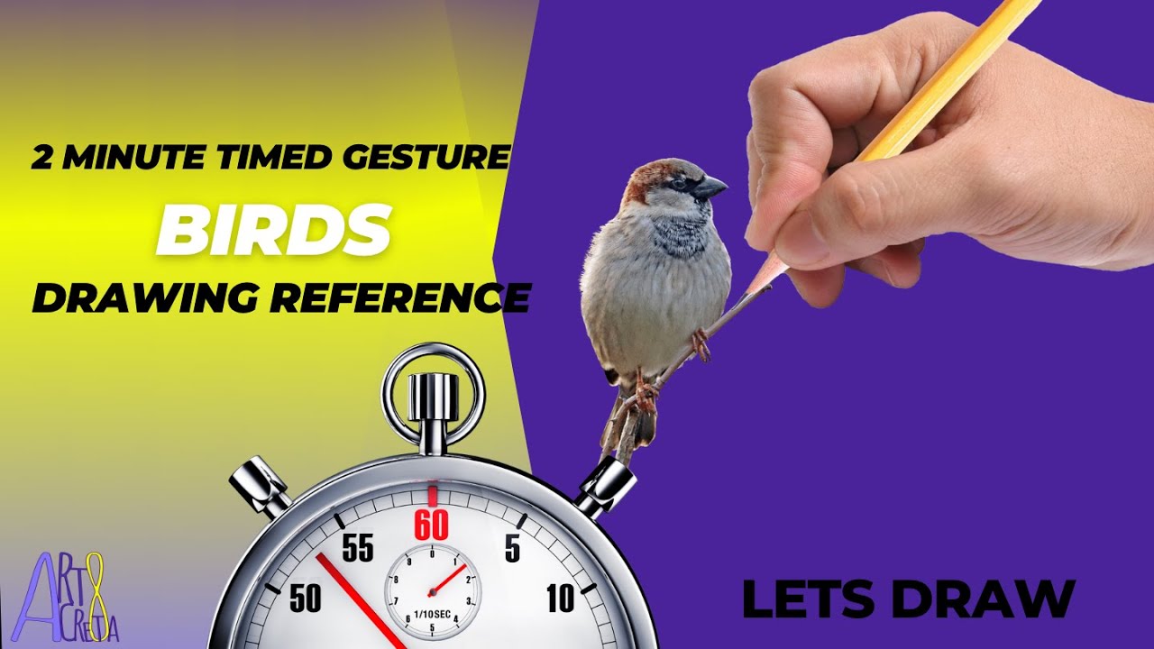 2-Minute Gesture Drawing Warm Up - Drawing Birds! - YouTube