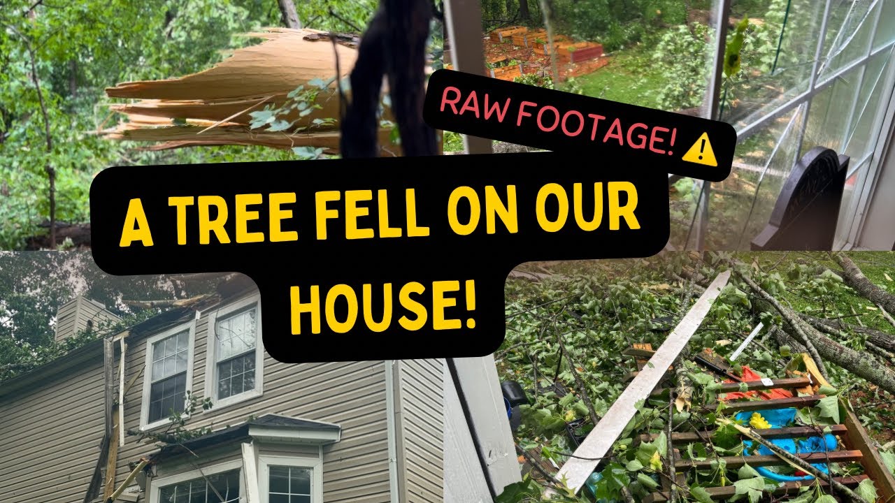 UNEXPECTED DISASTER | A 🌳Tree 💔Fell on Our House 🏡| RAW FOOTAGE!!!⚠️ ...