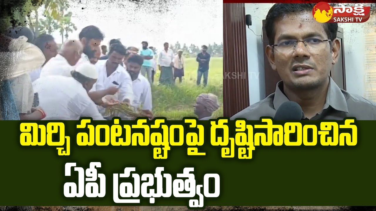 Prakasam District Collector Dinesh Kumar About Mirchi Crop Loss ...