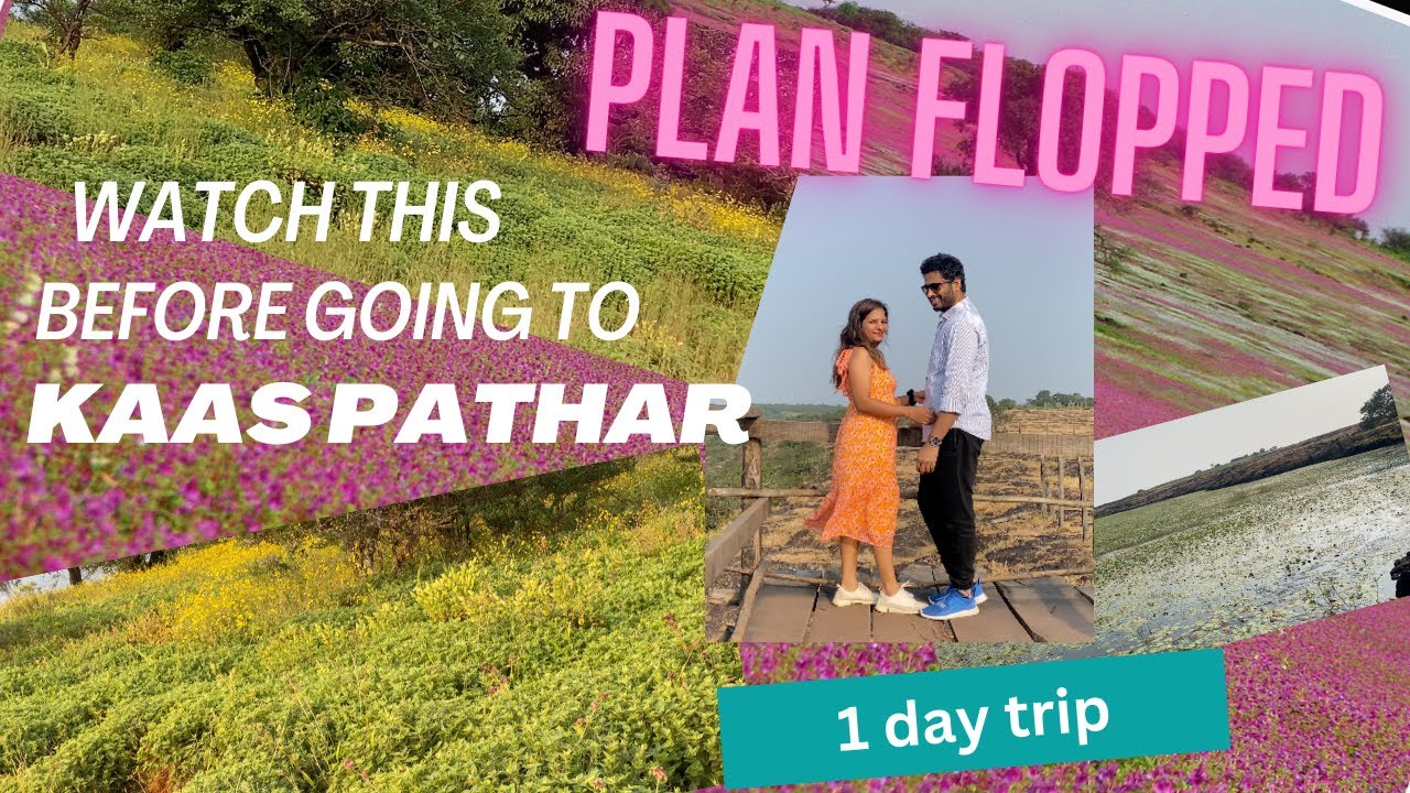 Kaas Pathar | Kas Plateau | 1 day trip | The Valley Of Flowers - YouTube