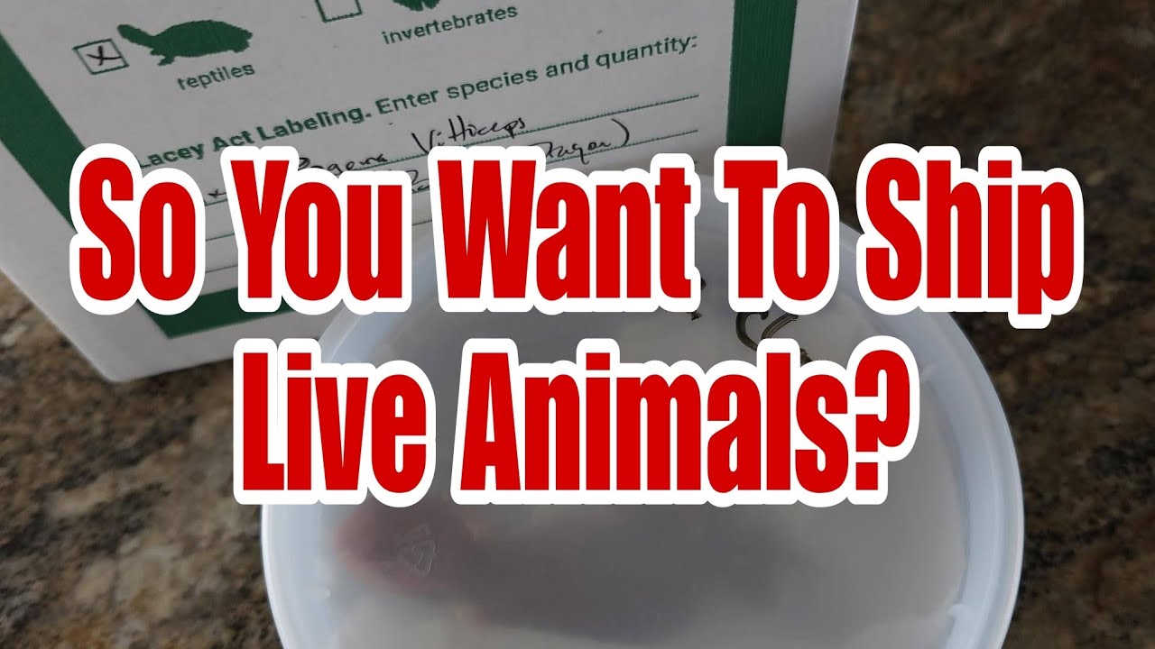 Tips & Tricks of Shipping Live Animals - YouTube