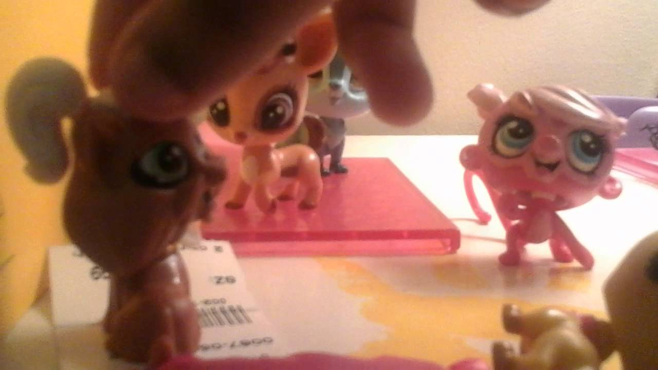 Lps:24 hours on a plane - YouTube