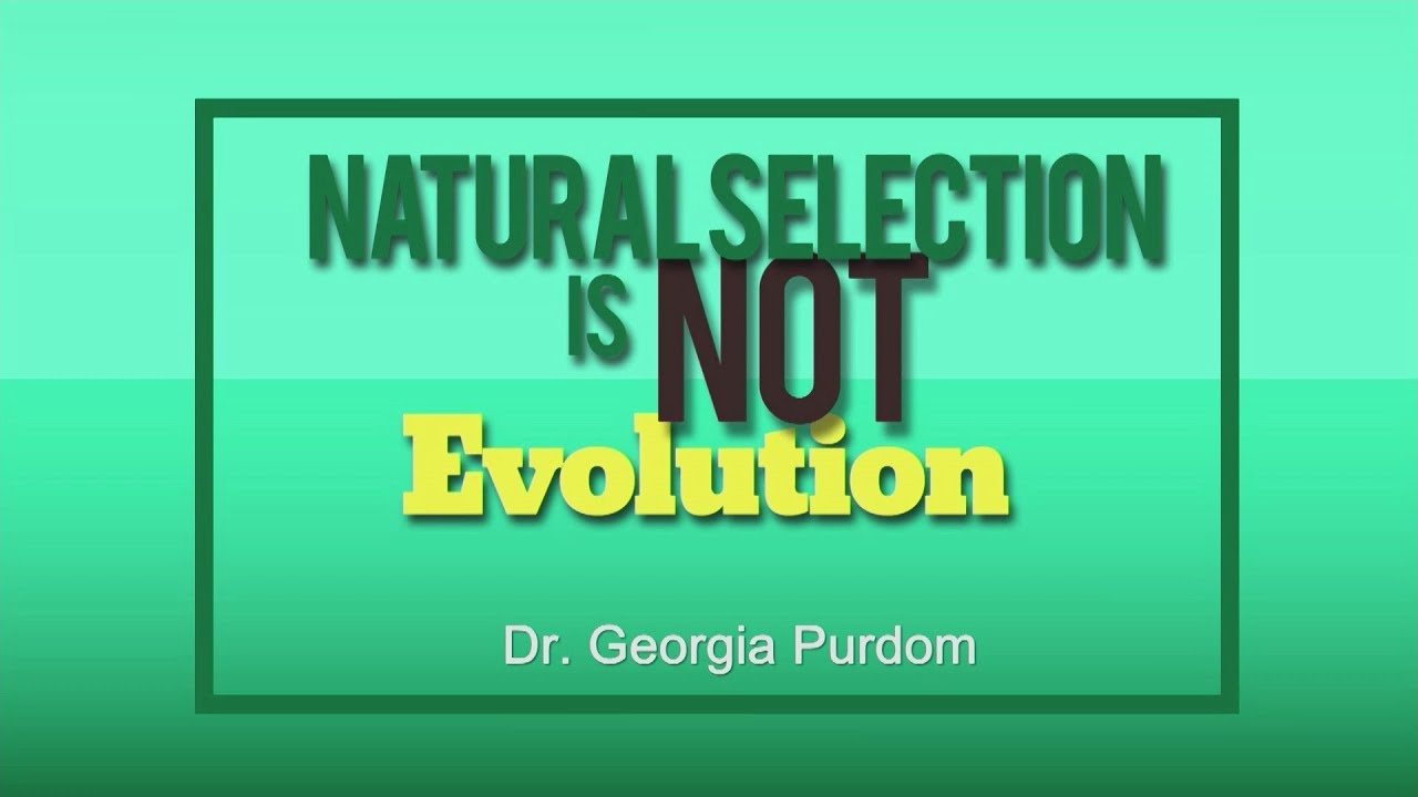 Origins: Natural Selection is Not Evolution - YouTube