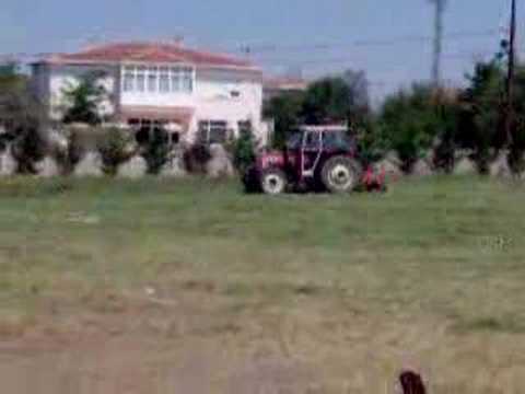 Fiat 65-46 DT Tractor is cutting the wheat Video..TURKEY