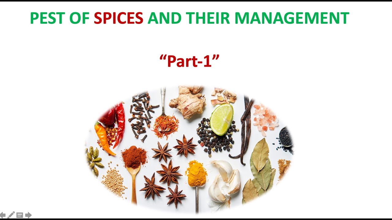 P-4 (Part-1): Pest of spices and their management- / मशालो की फसल में ...