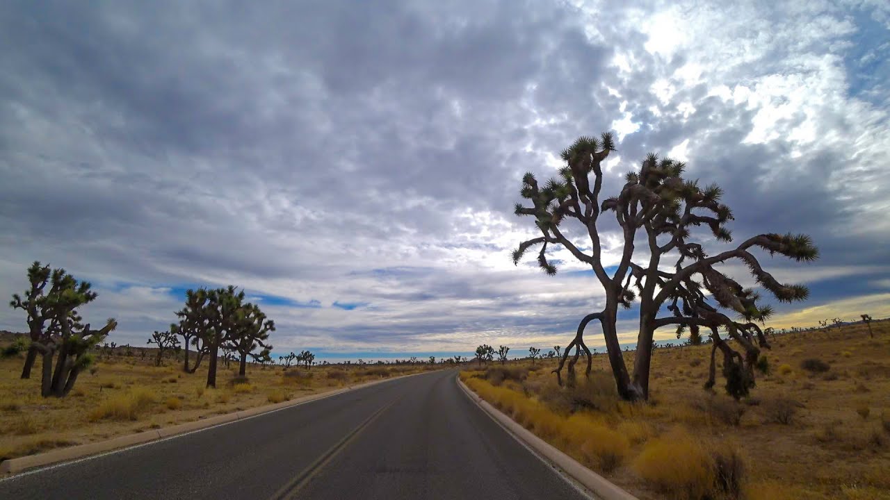 Joshua Tree National Park scenic drive 4k - YouTube
