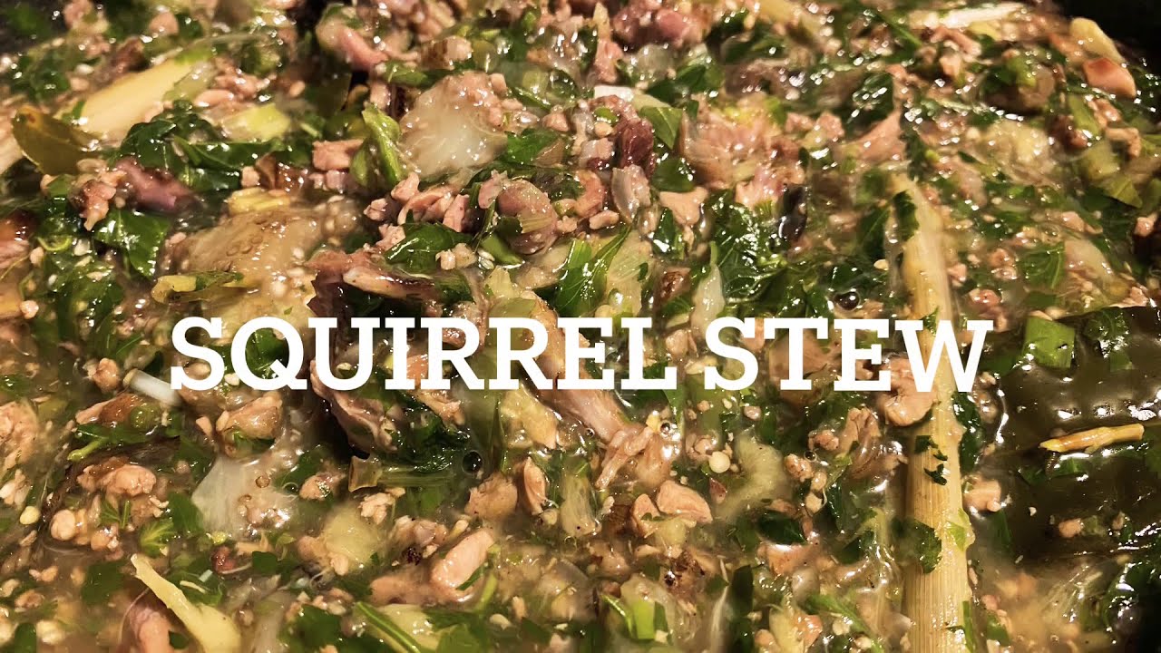 Squirrel Stew - YouTube
