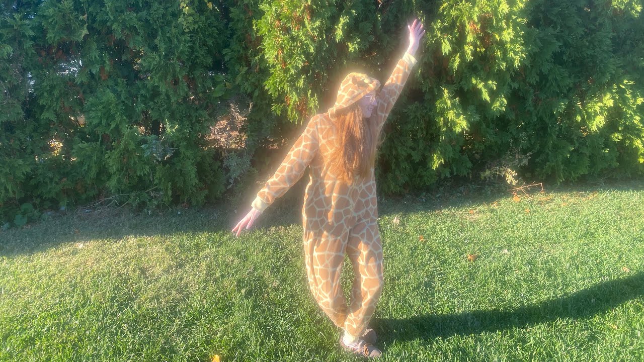 Giraffes Can’t Dance Book Trailer - YouTube