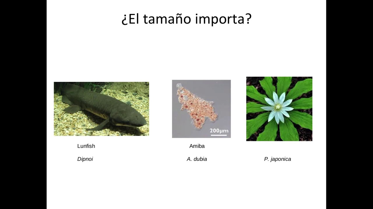 Clase 1. Las *omicas - YouTube