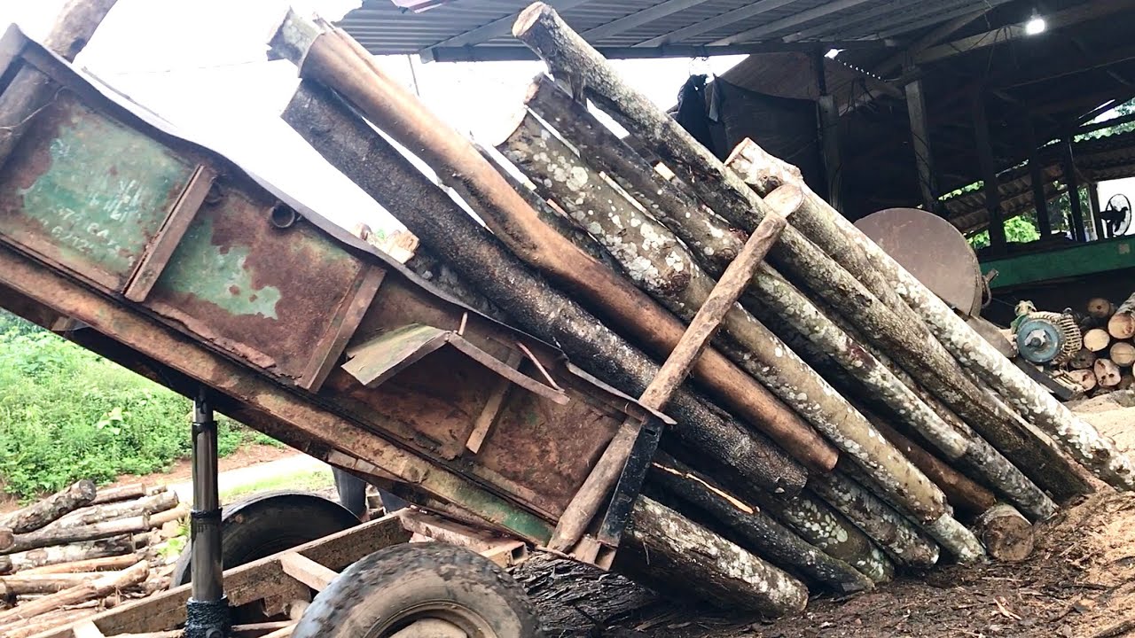 Great, even small logs can be cut and processed into boards # ...